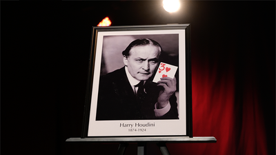 White Rabbit Magic & Shop